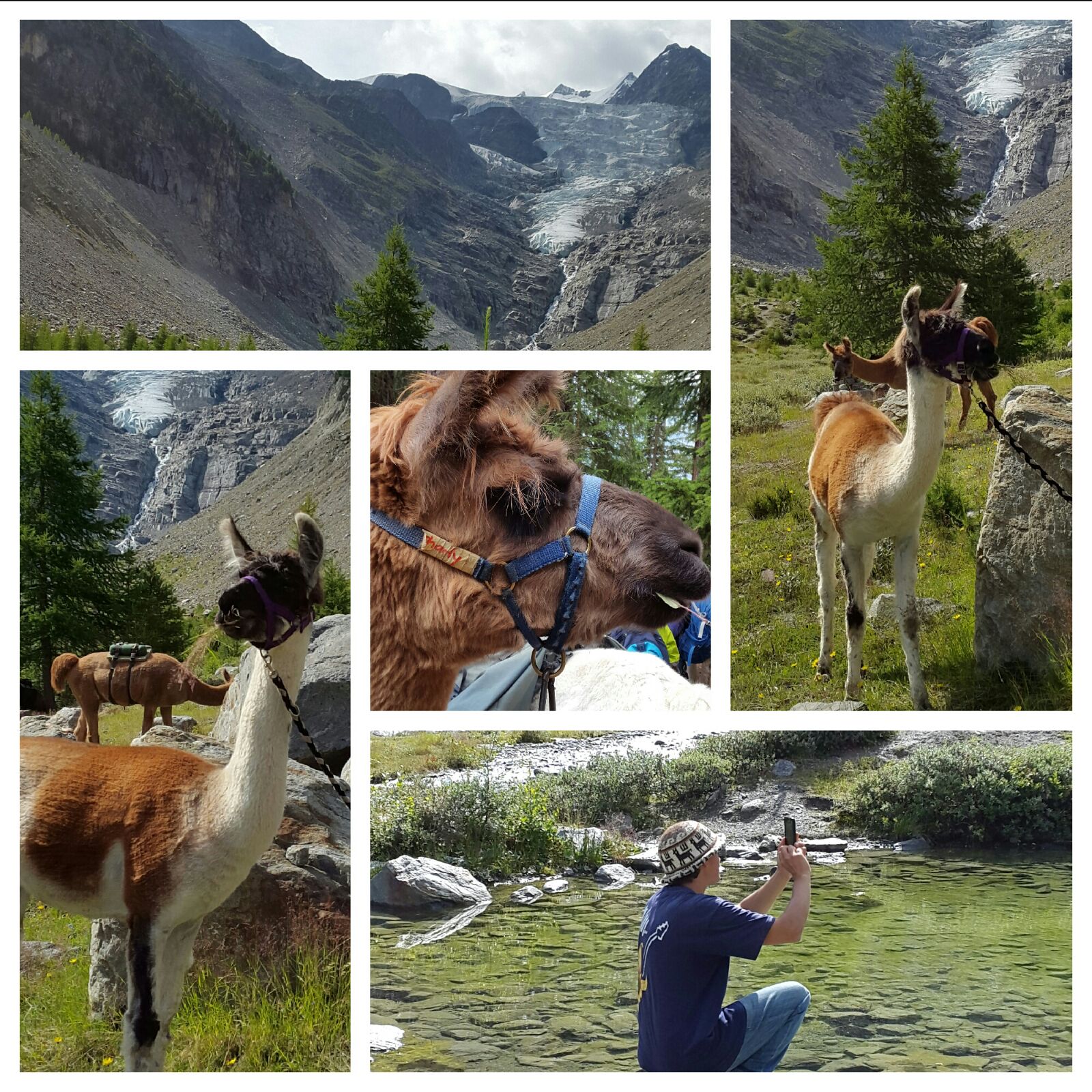 Lama-Tagestrekking - lama-adventure